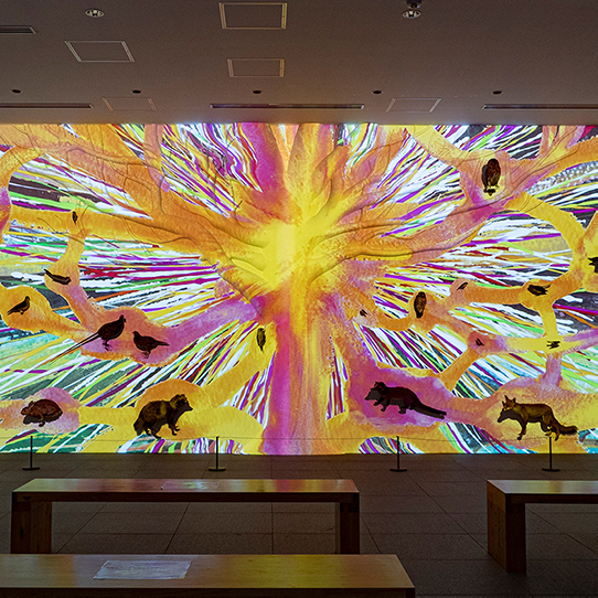 kagami | Works | WOW