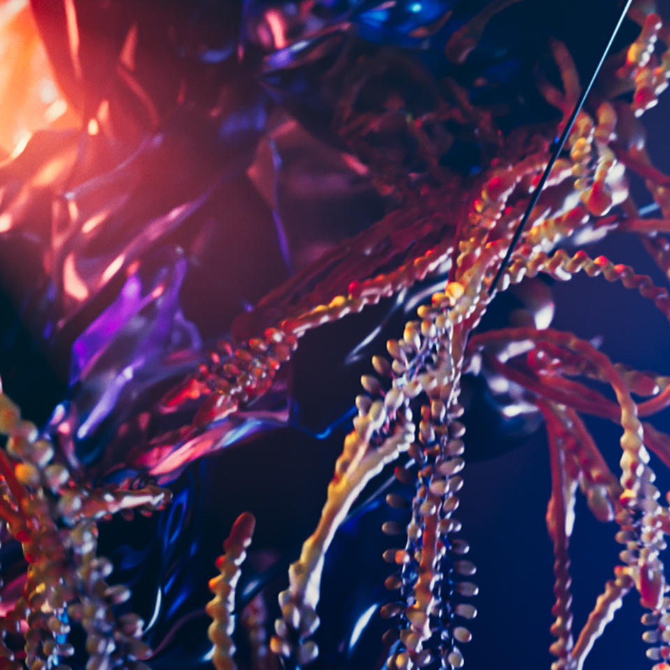 INORI -PRAYER- | WOW magazine 118 | WOW